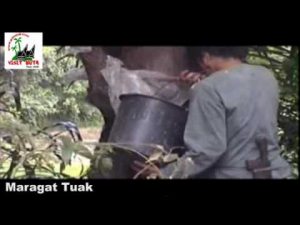 Maragat Tuak
